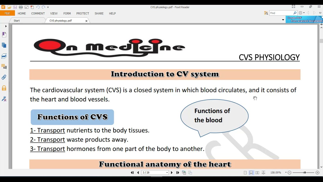 CVS physiology: Lecture 1 : introduction to CVS - YouTube