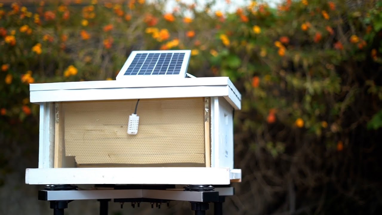 Sustentabilidad | Estas colmenas inteligentes permiten una mayor ...