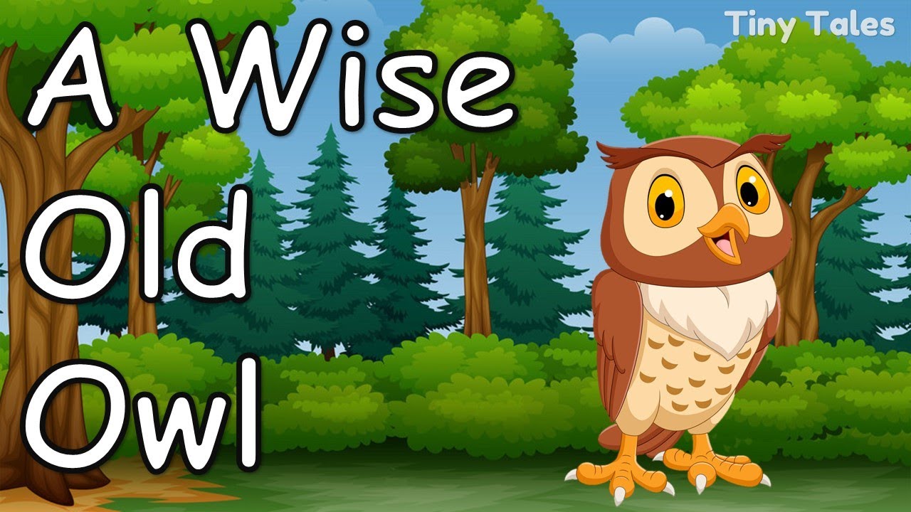 A Wise Old Owl | Moral Story in English | Tiny Tales |1 minute stories | Audiobook - YouTube