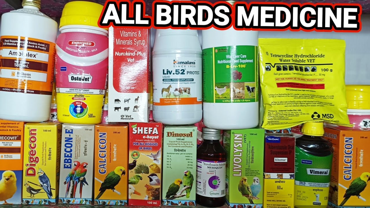 how to use bird care medicine / bird care medicine // birds care ...