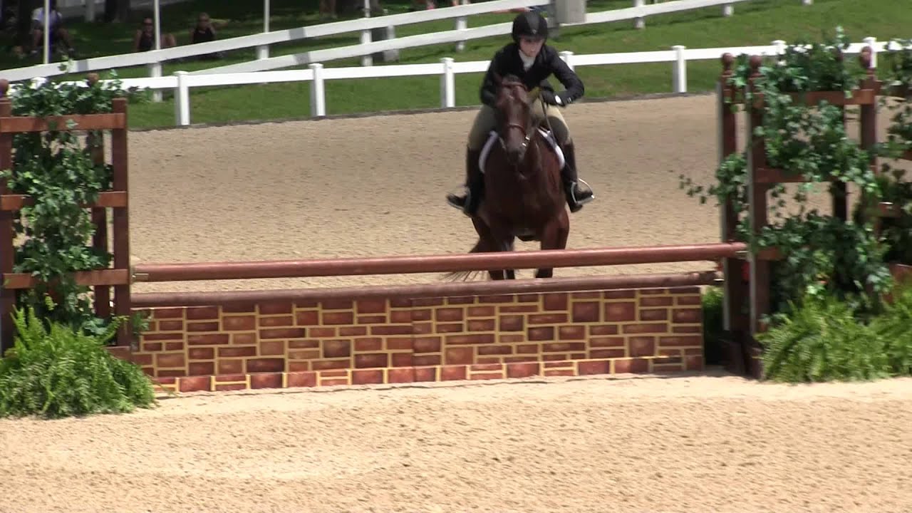 ** Picturesque Decade - Pony Finals 2011 Large green pony hunter - YouTube