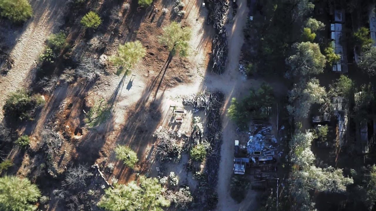 Parrot Ranch - YouTube