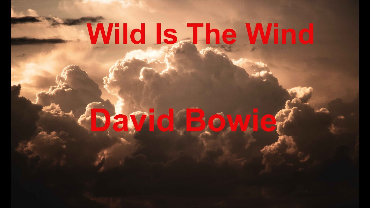 Wild Is The Wind - David Bowie - with lyrics - YouTube