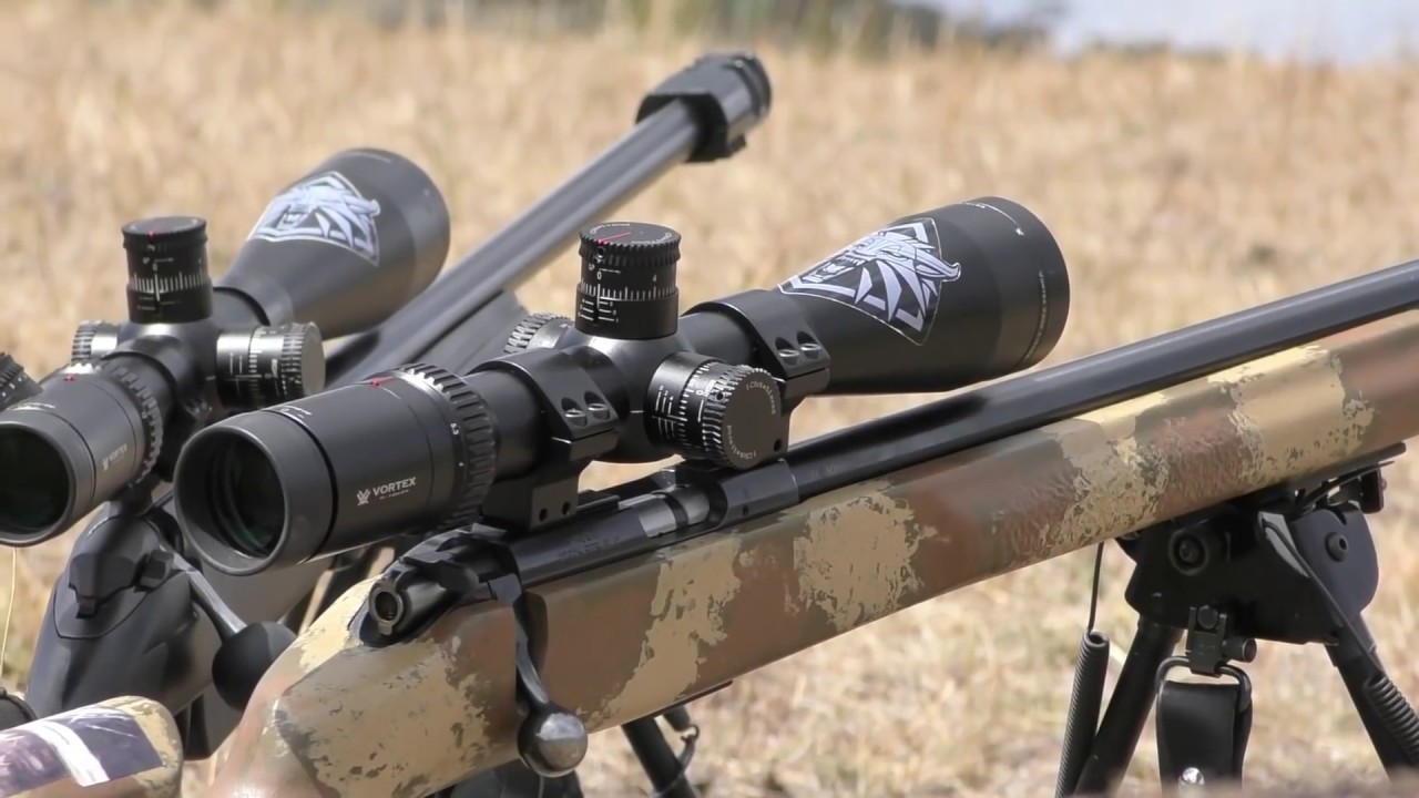 .22LR / .223 Pest Control - YouTube