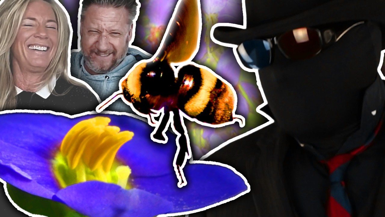 Evolution Totally Destroyed By Bumblebees! - YouTube