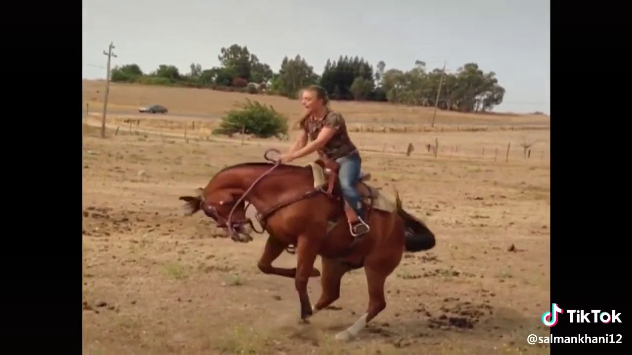 Funny horse riding - YouTube