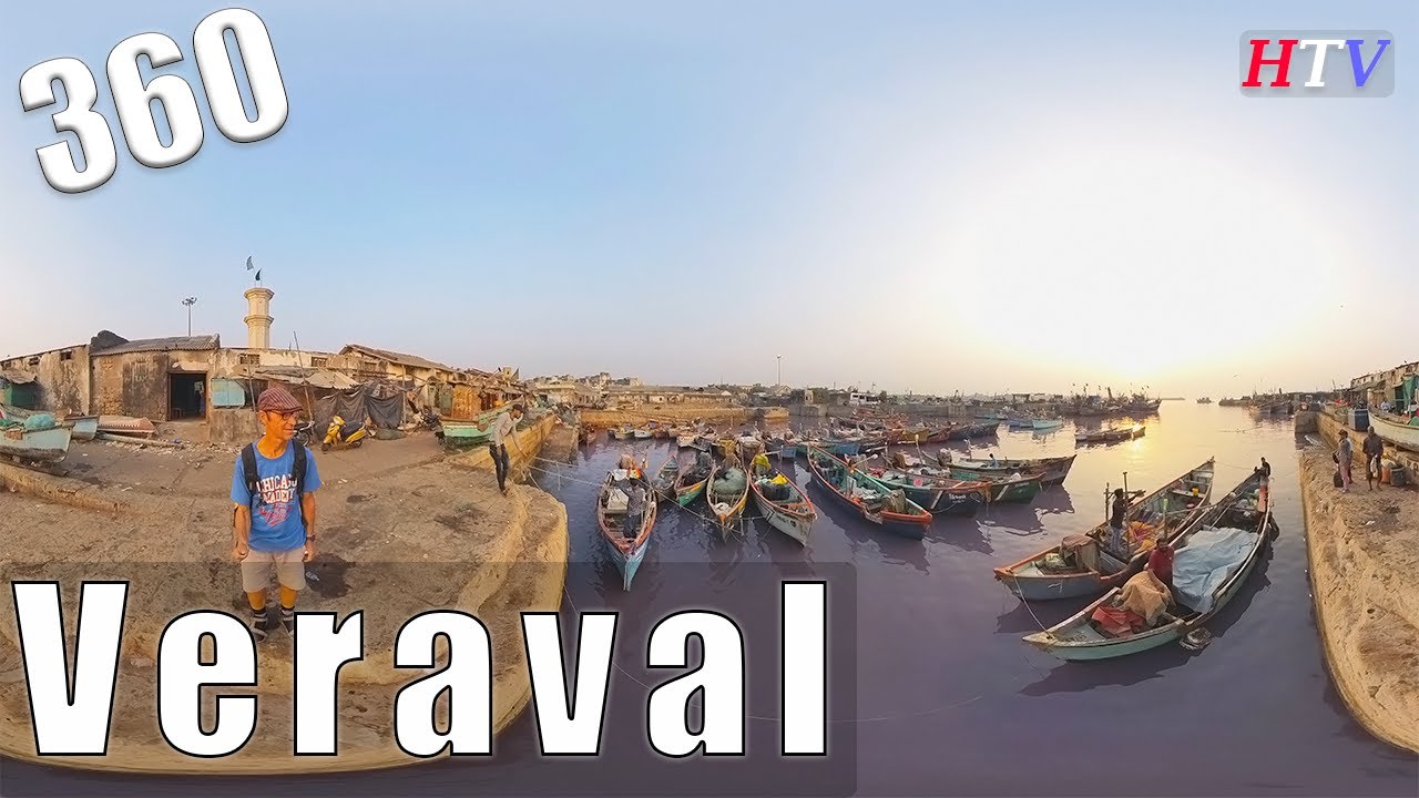 360VR Veraval,Gujarat,India-Cows on the Beach - YouTube
