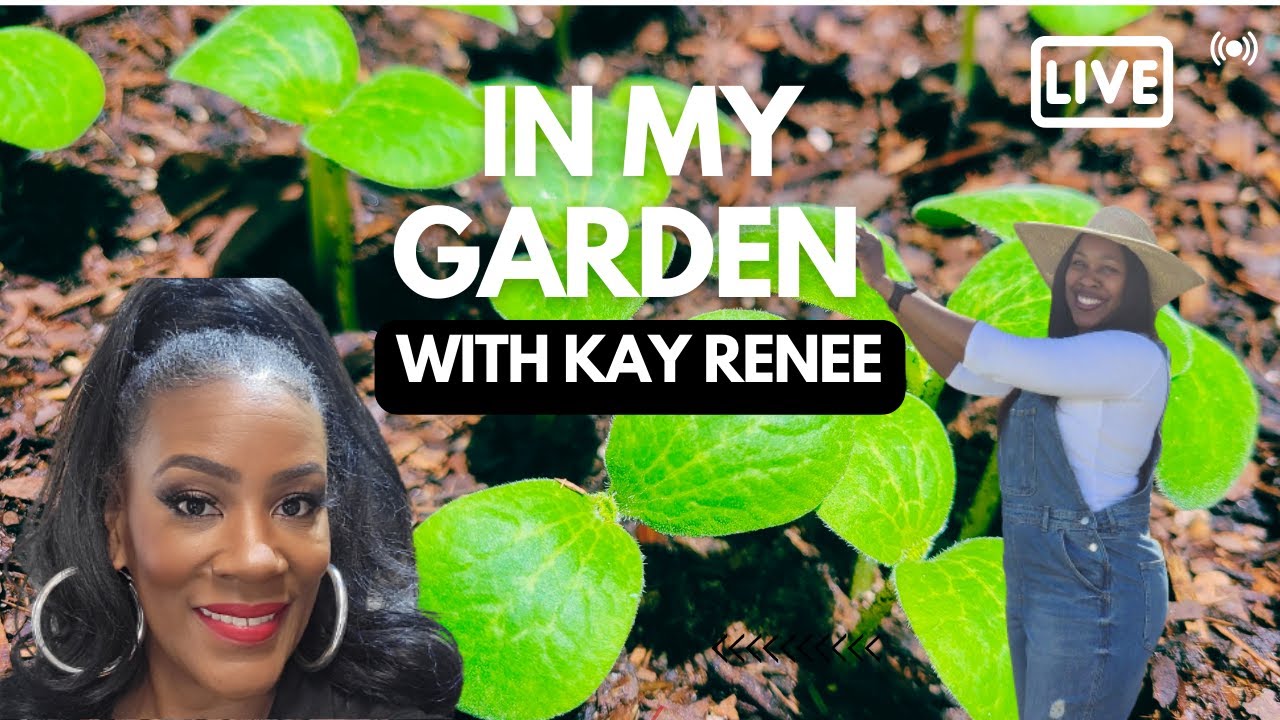 In The Garden with Kay Renee - YouTube