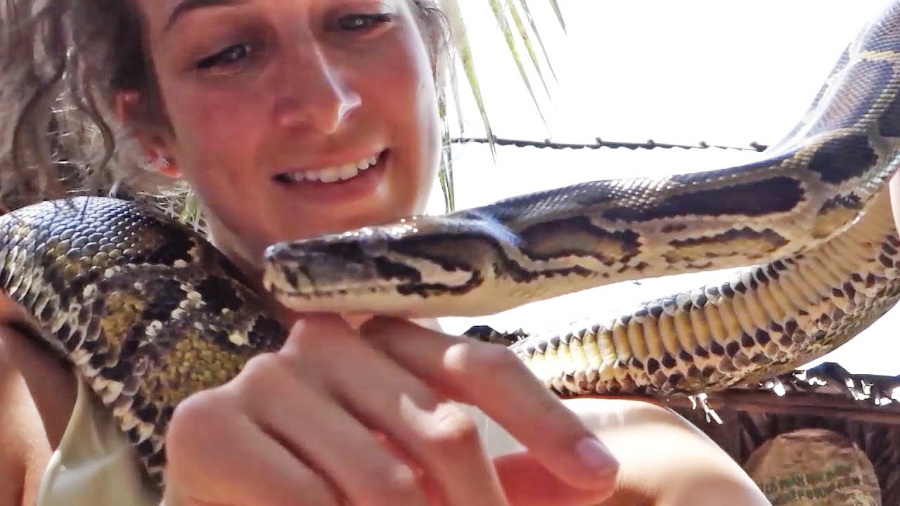 HOLDING A GIANT PYTHON?! | Road Trip 2015 - YouTube