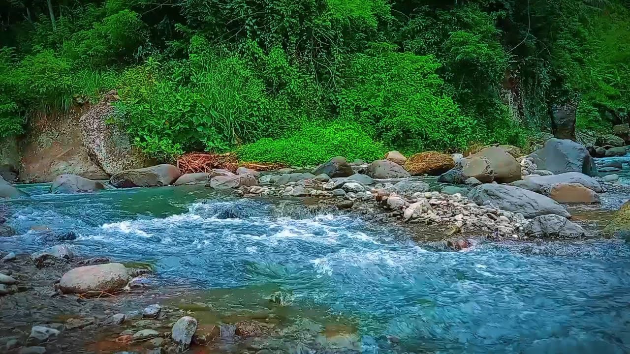 Tranquil Stream Whisper Soothing Water Flow for Mindful Moments - YouTube