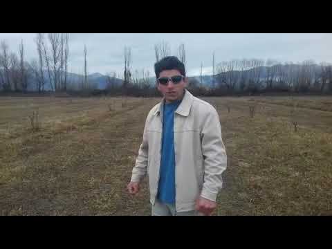 Azeri vandam