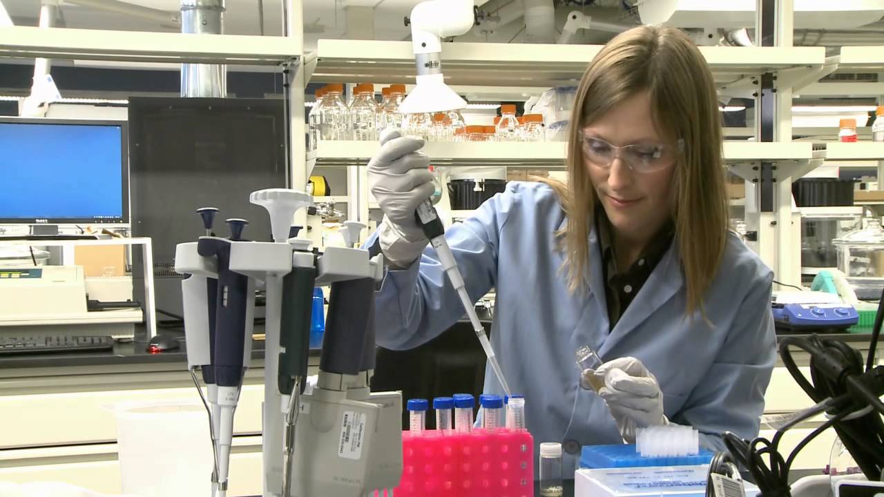 Bioenergy - YouTube