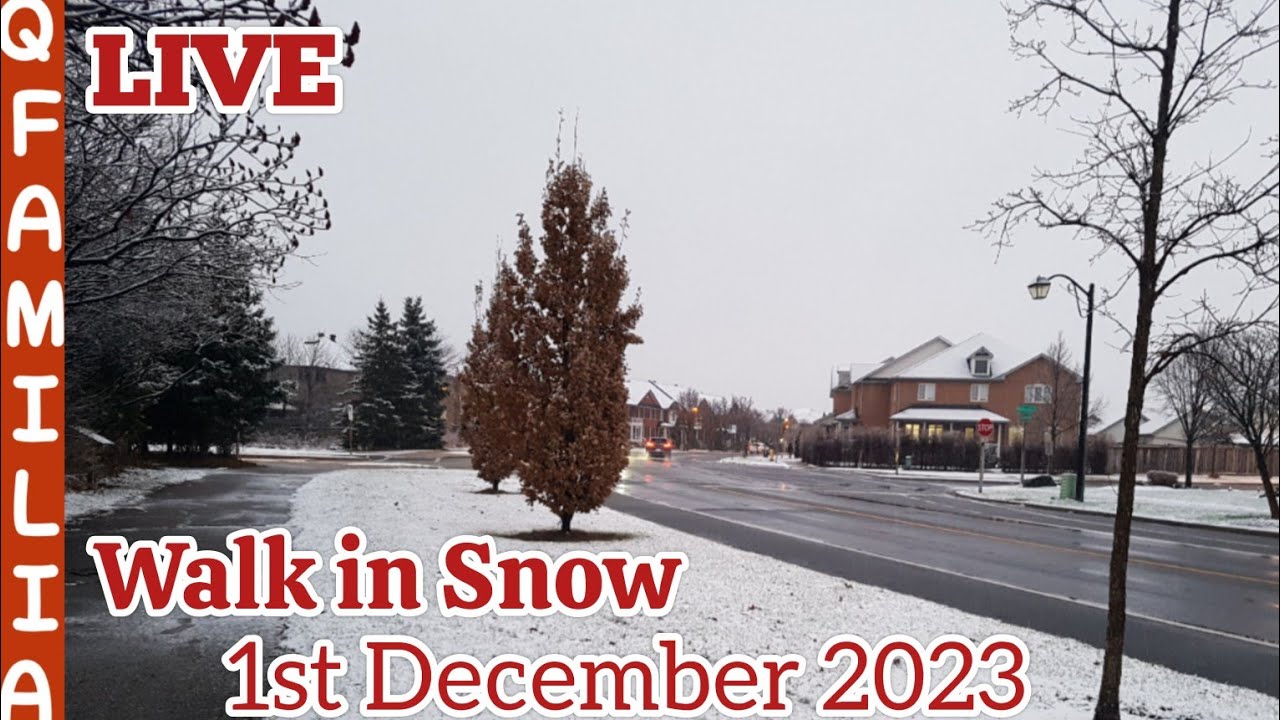 Walk in Snow Markham Canada | 1st December 2023 Snowfall | LIVE - YouTube