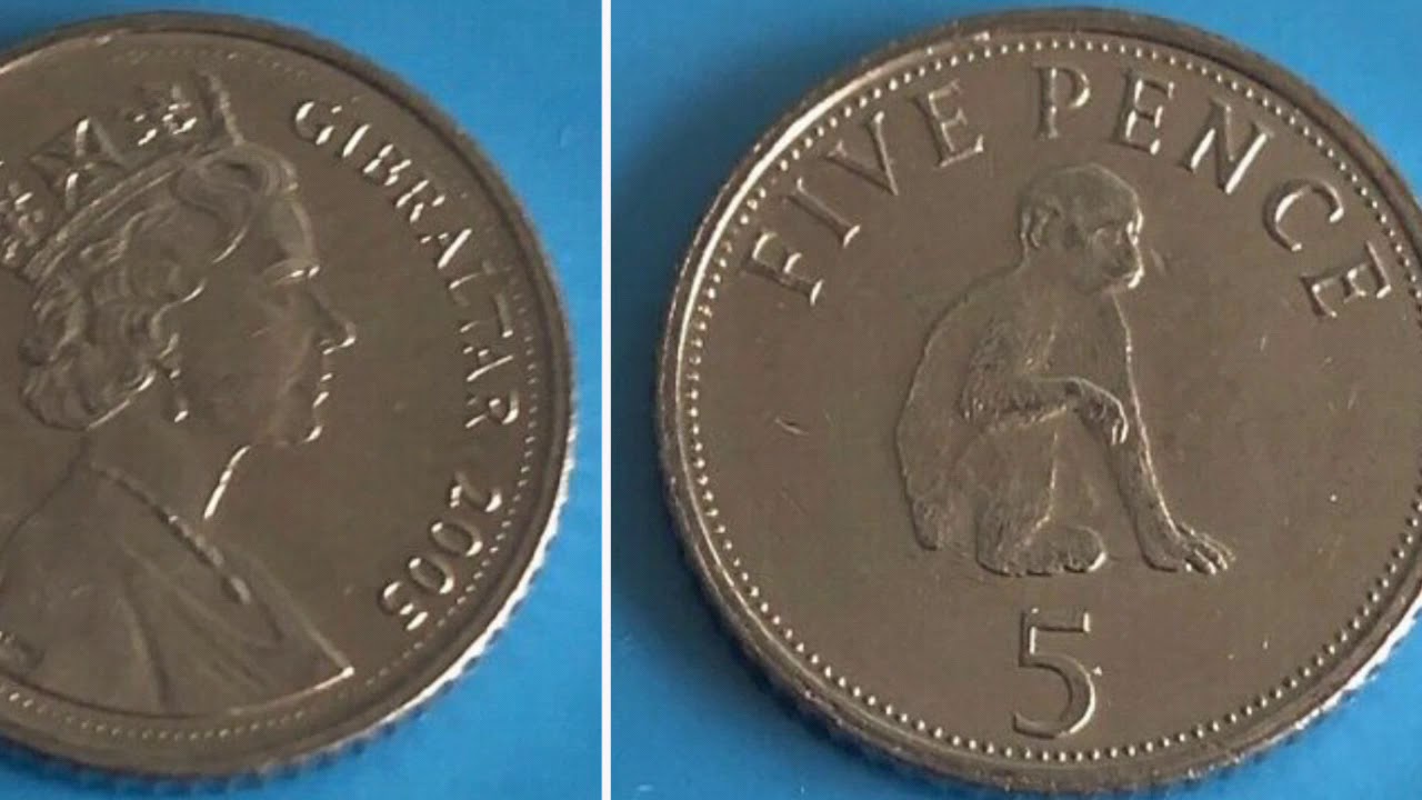 2005 Gibraltar Five Pence Coin WORTH? MONKEY - YouTube