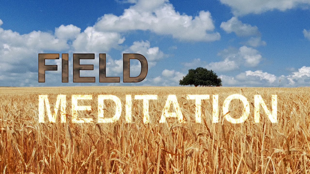 Relaxing Field Meditation Sounds [HQ] - YouTube