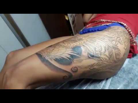 Fenix..com Sara 2° seção ..