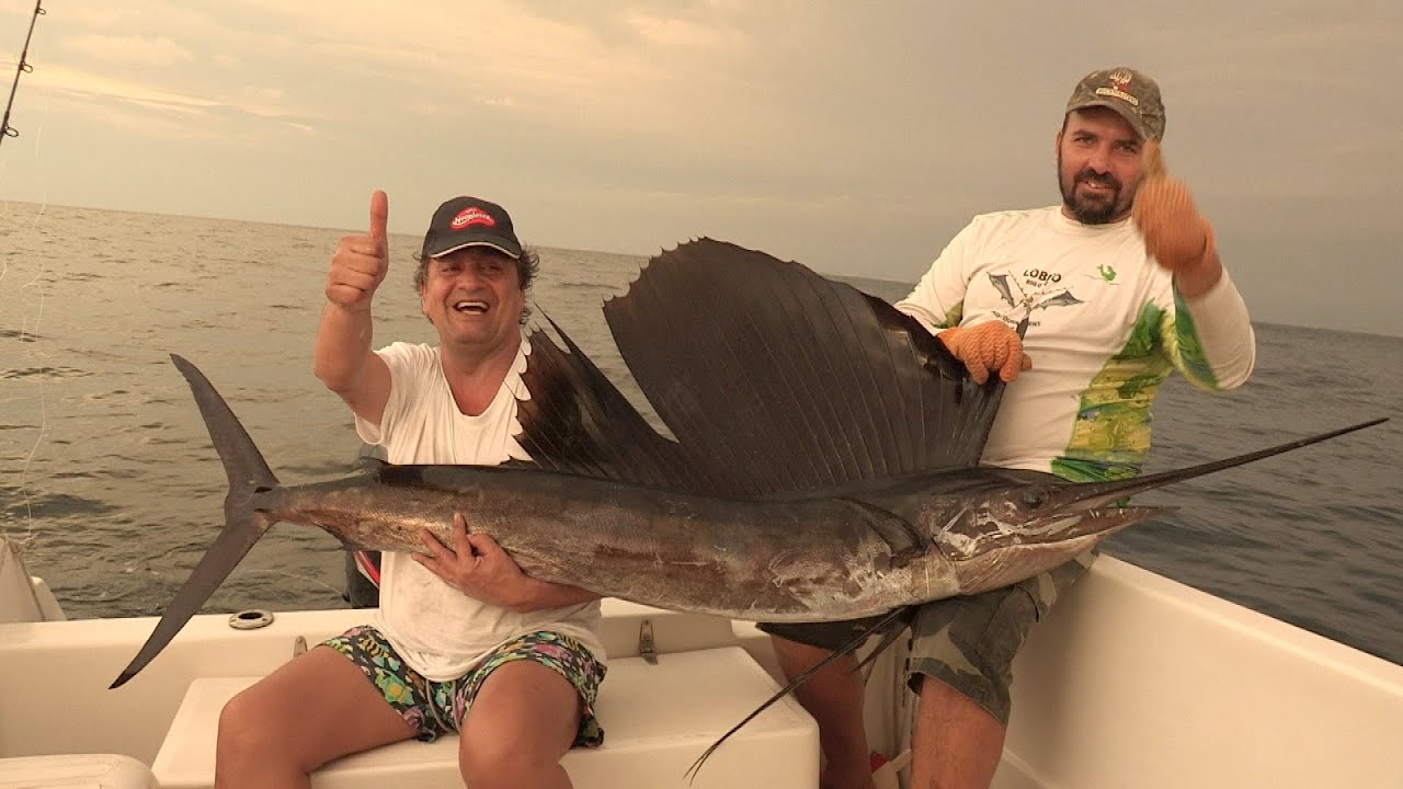 Ribolov u Angoli - pecanje seilfiša | Fishing big sailfish in Angola ...