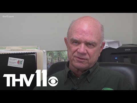 Officials issue warnings after Arkansas wildfires - YouTube