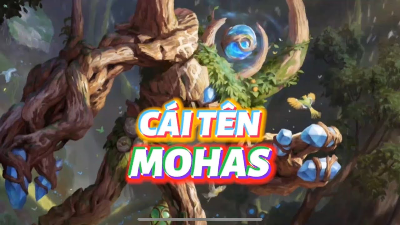 Cái Tên Huyền Thoại “ Mohas Em Ơi” Cùng Con Bài Y’benth Ăn 3 Tô Cơm Cân ...