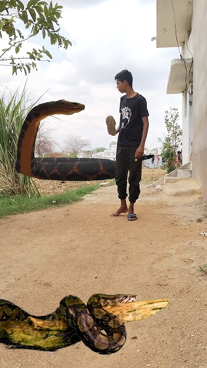 #snake #editing #snaketalk - YouTube