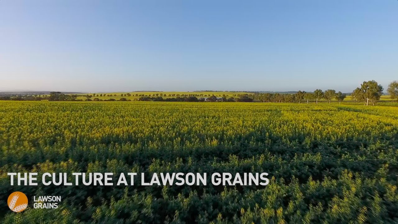 Lawson Grains Culture - YouTube