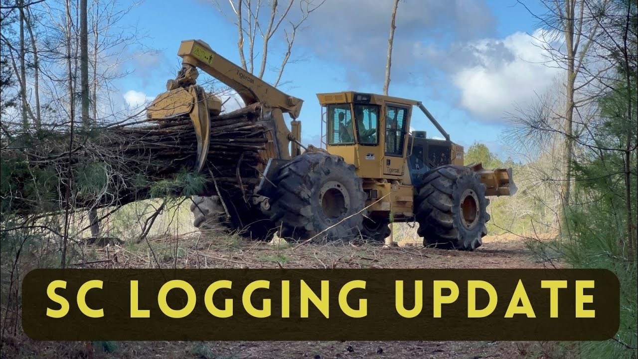 Logging in South Carolina **UPDATE** - YouTube
