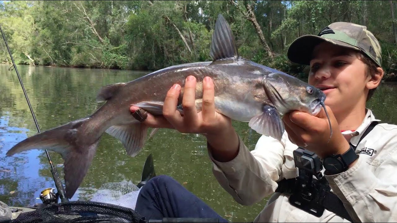 Kayak Shark Fishing - Catching HUGE Fish! HD - YouTube