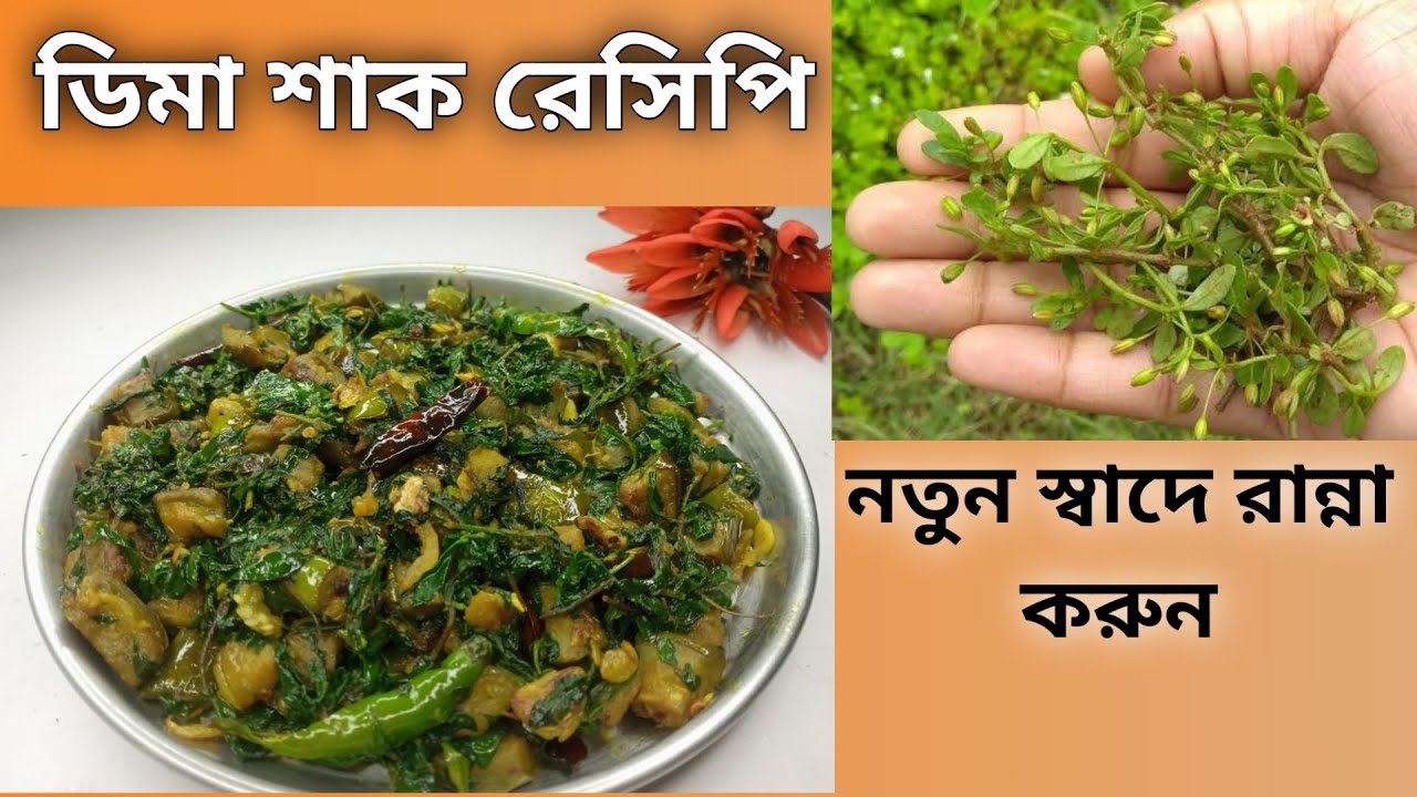 Delicious Dime Shak Recipe by New Taste Cooking | Cooking Unknown ...