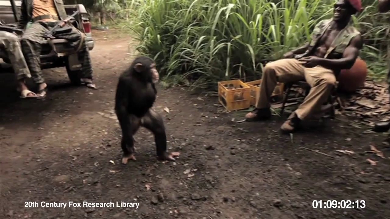 Обезьяна - YouTube