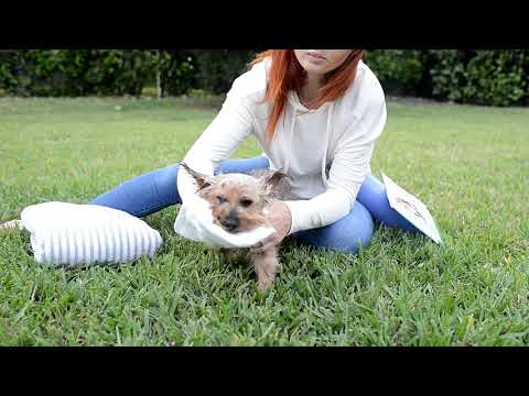 Scrubby Instant Bath for Pets