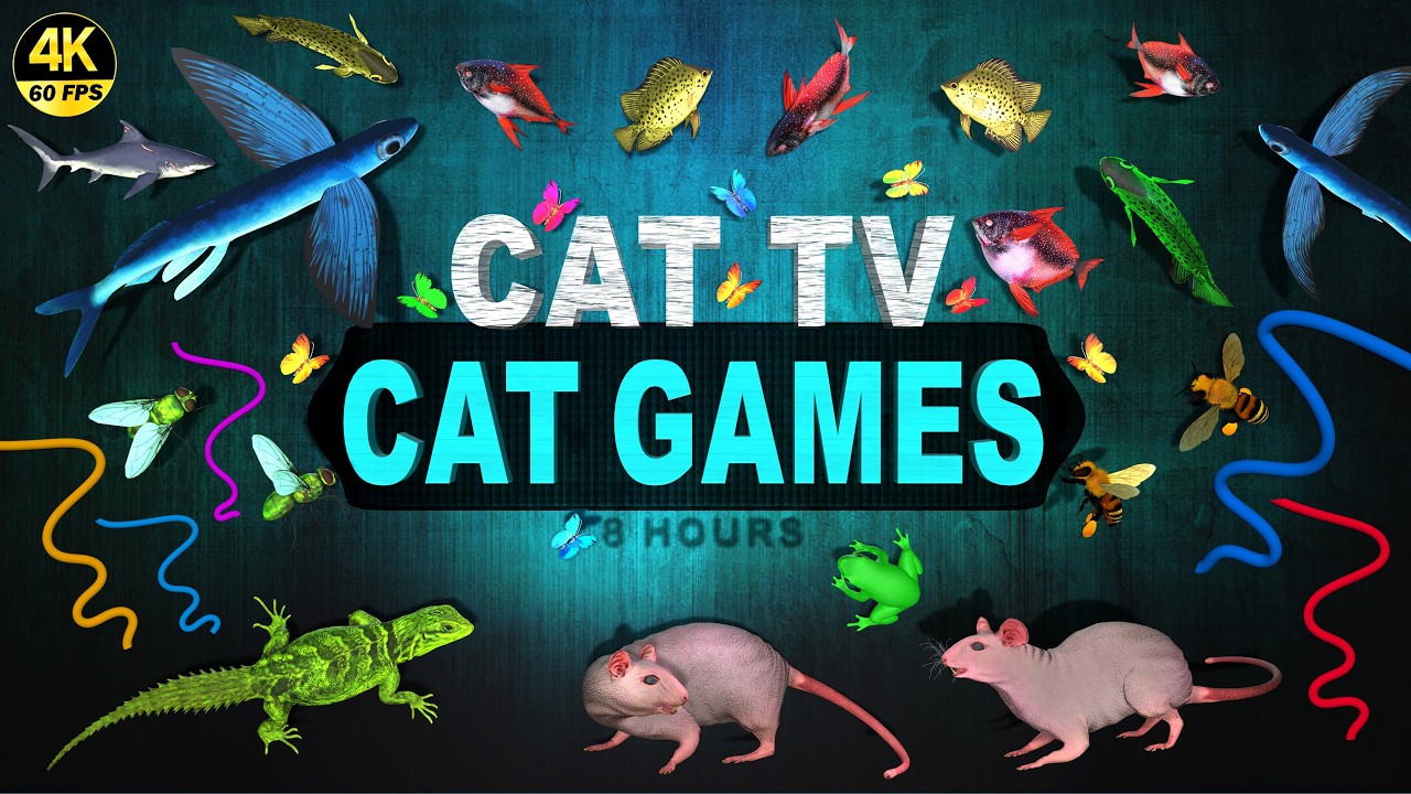 CAT GAMES -🐠 CATCHING FISH VIDEOS FOR CATS TO WATCH ULTIMATE CAT TV ...