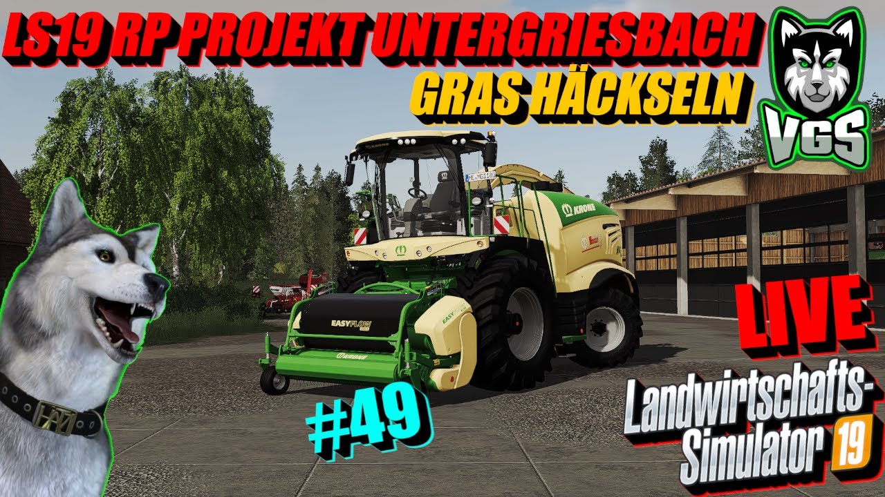 LS19 | Gras Häckseln & Gülle Zubringen für Hof Klein | Krone + Fendt ...