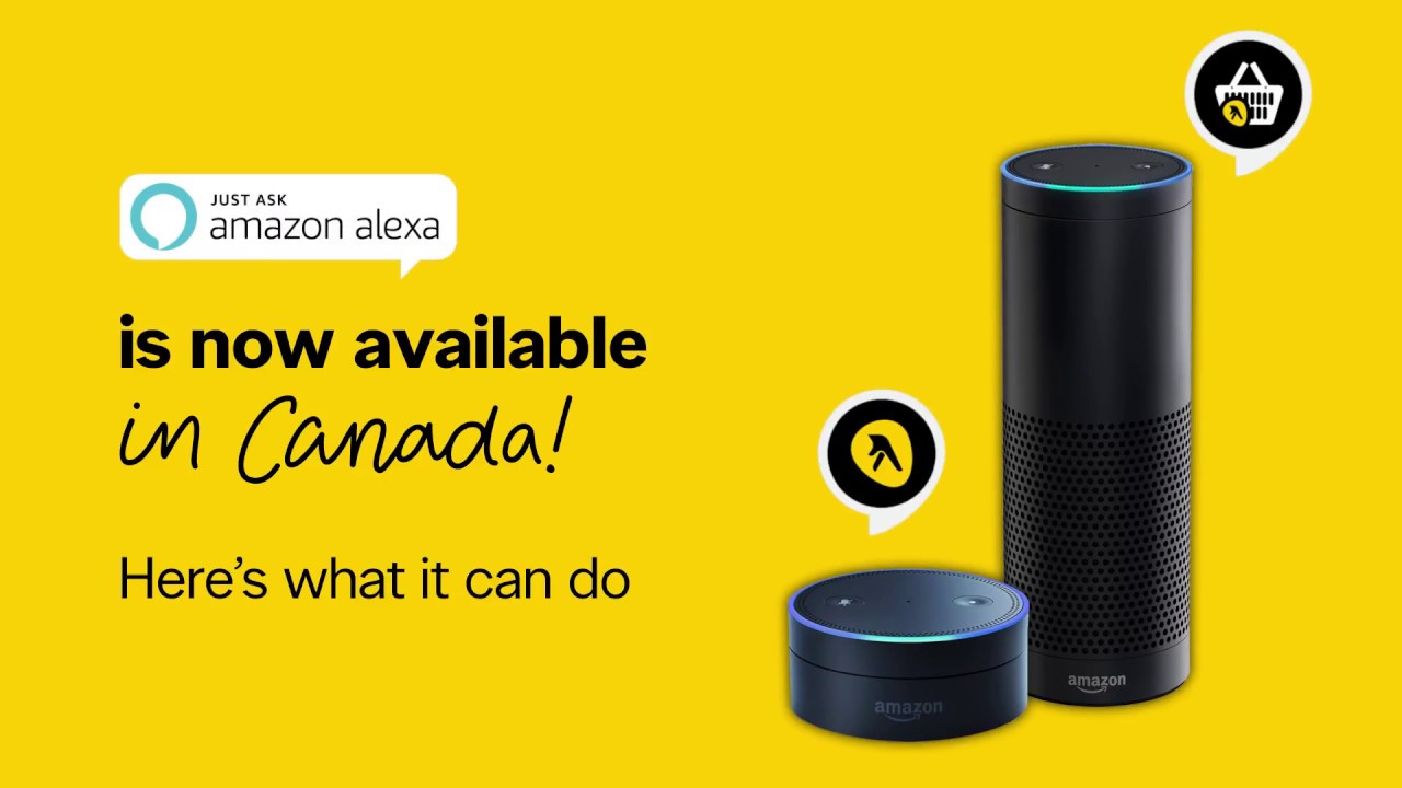 Yellow Pages Launches YP and YP Grocery Skills for Amazon Alexa - YouTube