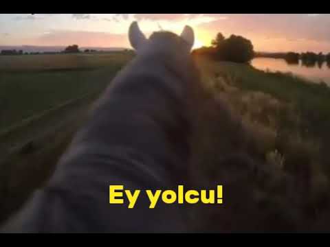Mücahid \