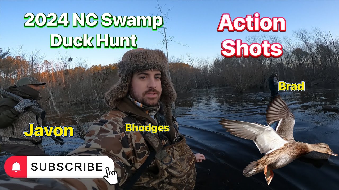 Duck Hunting Swamp | NC 2024 late season| kill shot - YouTube