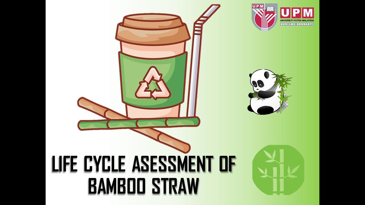 Life cycle assessment (LCA) of bamboo straw - YouTube