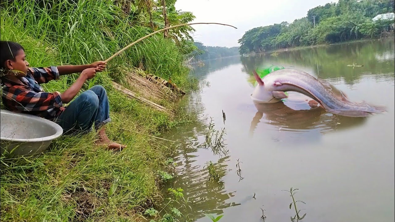 Hook fishing and Best Big Fish video (part _15) - YouTube