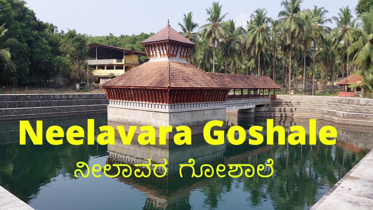 Neelavara Goshale I ನೀಲಾವರ ಗೋಶಾಲೆ Udupi - YouTube