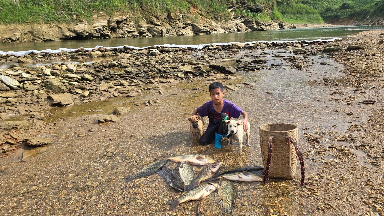Highland boy stack rocks to block the stream of sediment to catch fish ...