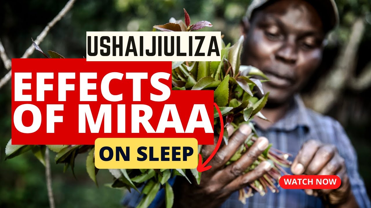 EFFECTS OF MIRAA ON SLEEP | USHAIJIULIZA | SHENG | KENYAN🇰🇪 - YouTube