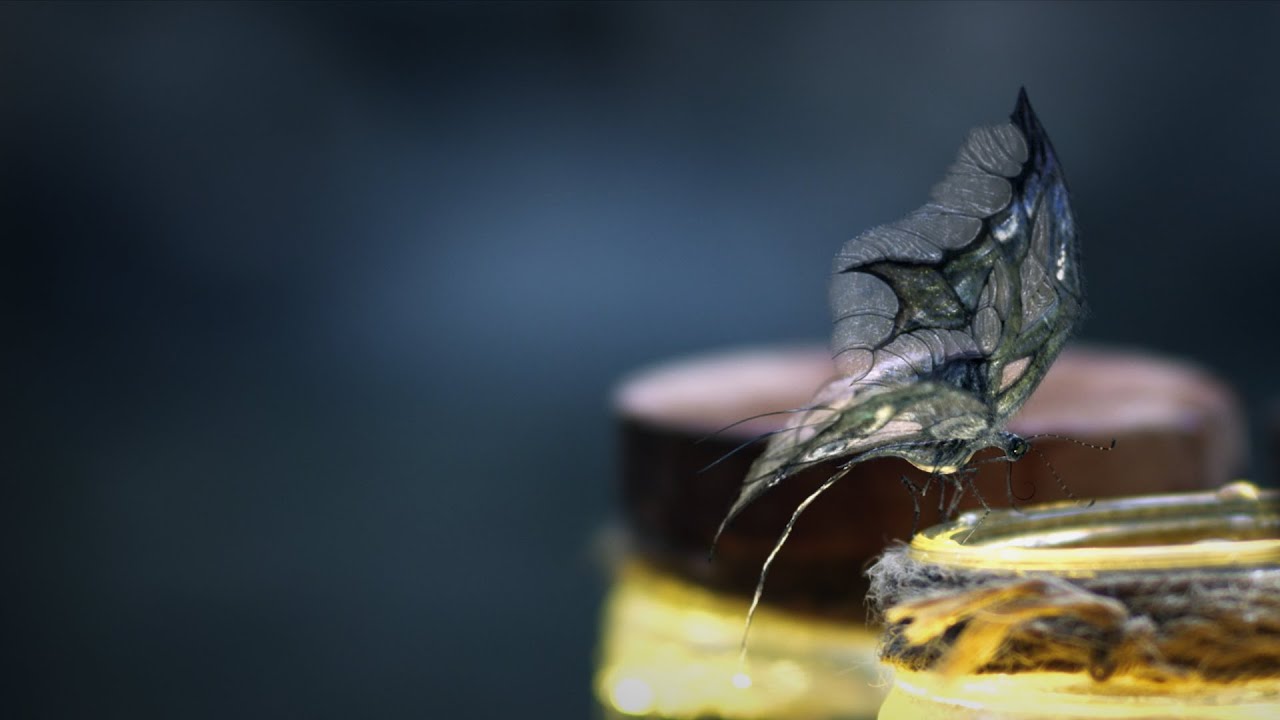 Creatures of Dust: Butterfly - YouTube