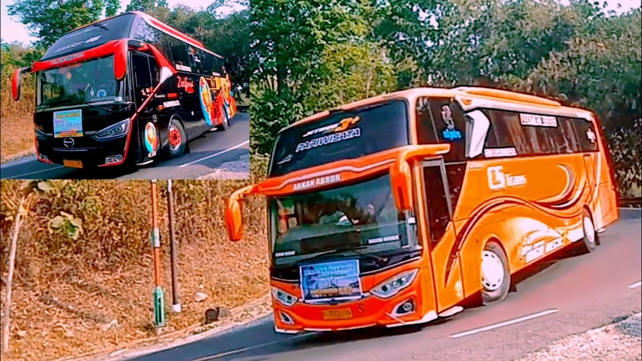 FULL BASURI BUS CS TRANS, ZEFORA, DMH TRANS, BUDIMAN, GRACESIA ...