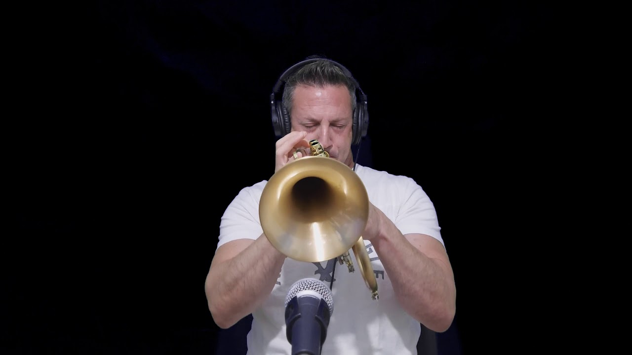 PALM TREE - DON GREEN | official trumpet show - YouTube