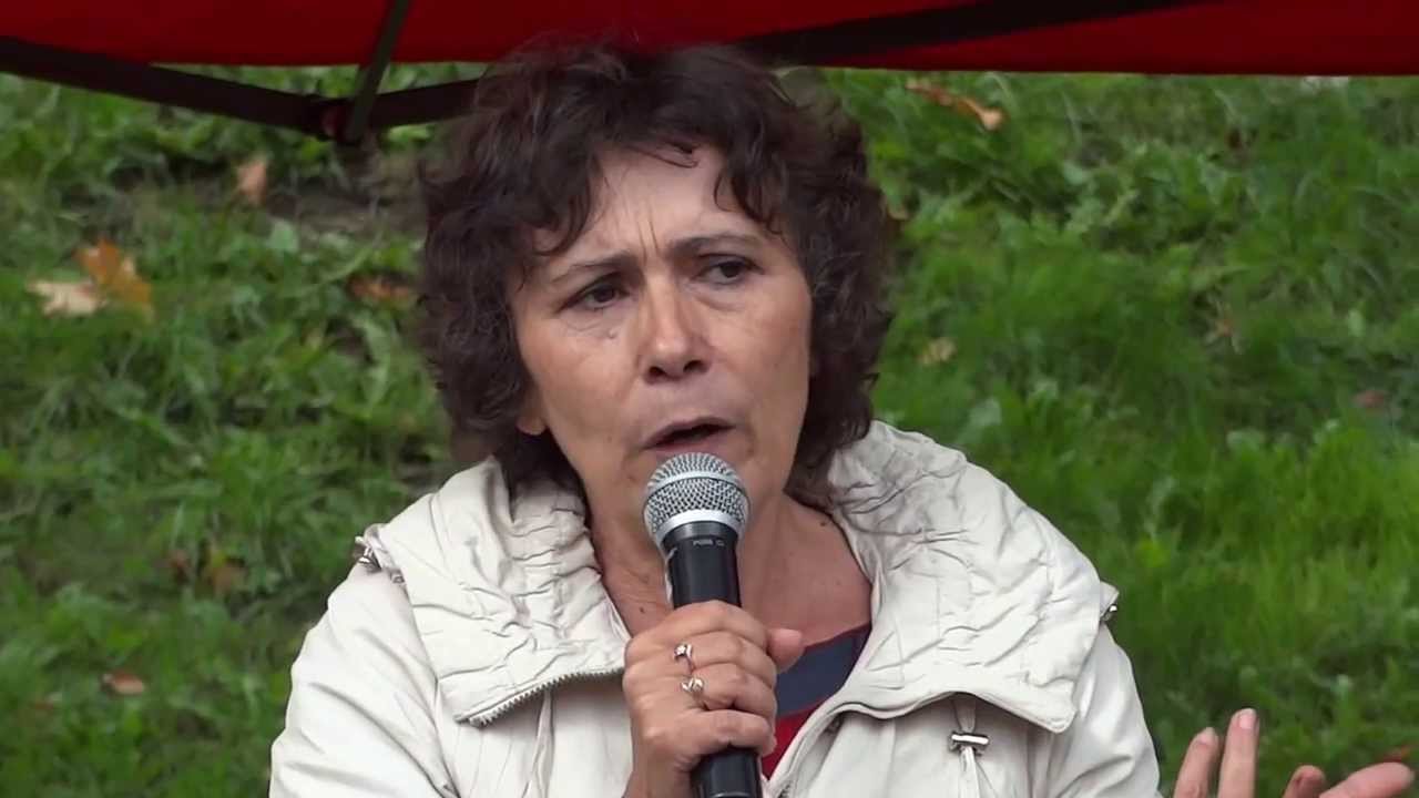 Marie-Monique Robin Paris 12 Oct 2013 Marche contre Monsanto - YouTube