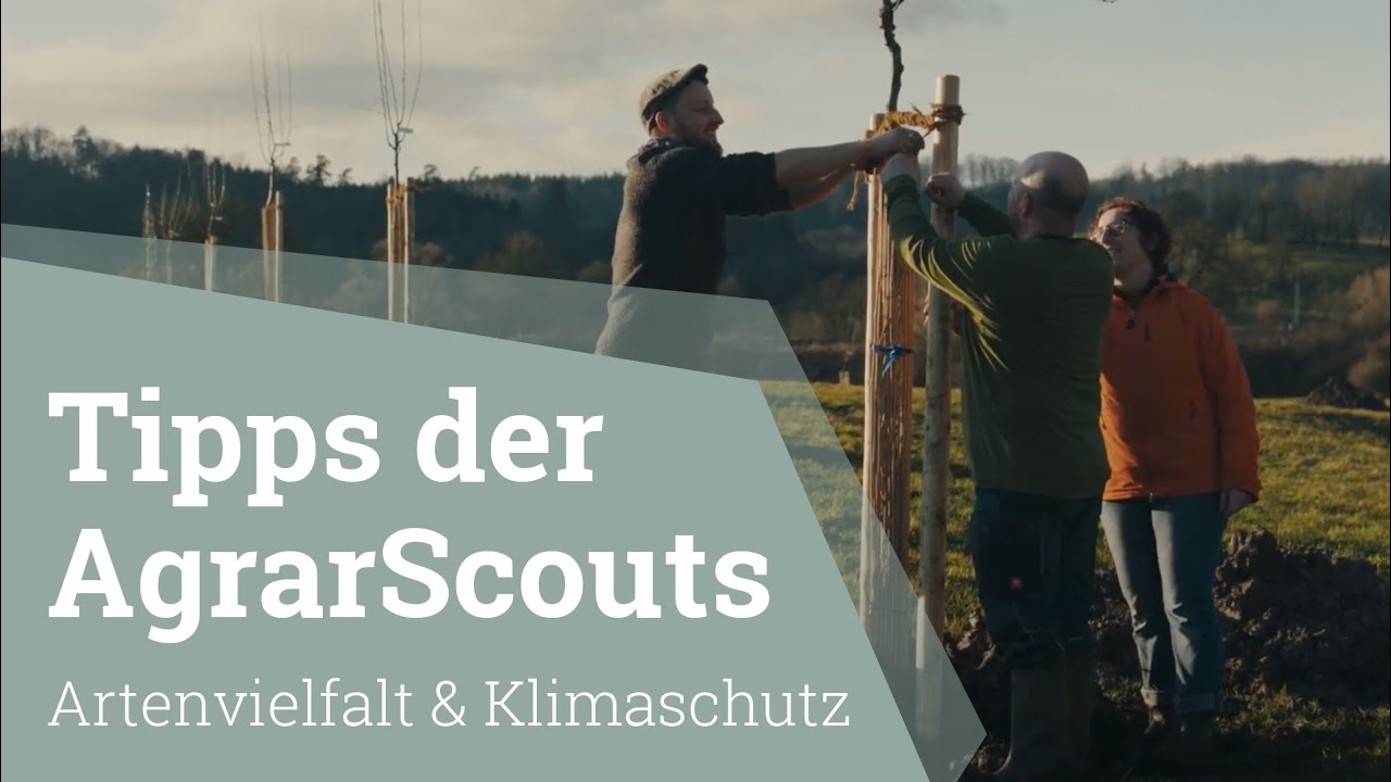 Für Artenvielfalt & Klimaschutz: Landwirt Michael Reber pflanzt ...