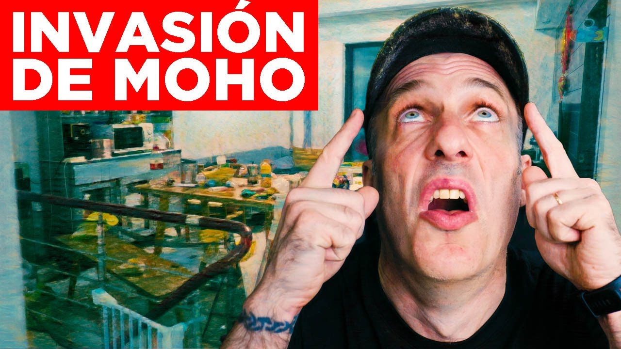 NUESTRA CASA EN CHINA SE LLENA DE MOHO | Jabiertzo - YouTube