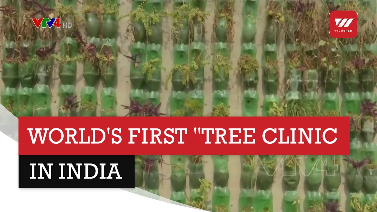 World first "Tree Clinic" in India | VTV World - YouTube
