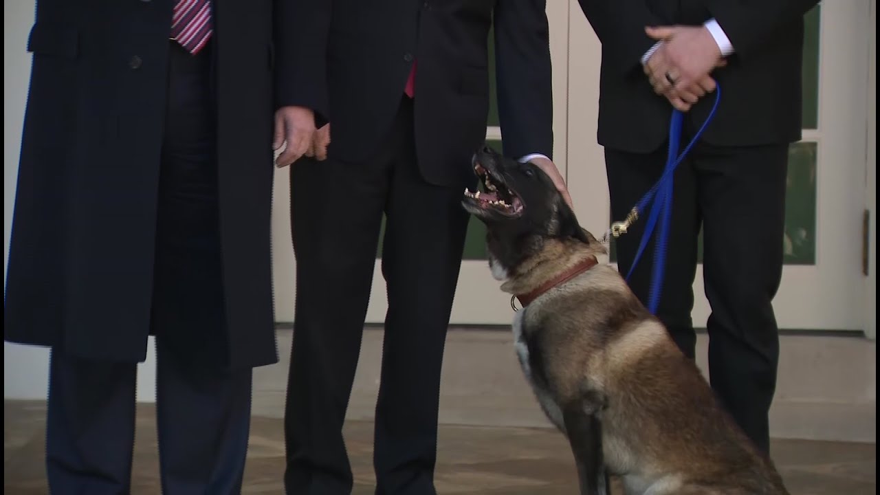 President Trump honors hero dog Conan at the White House - YouTube