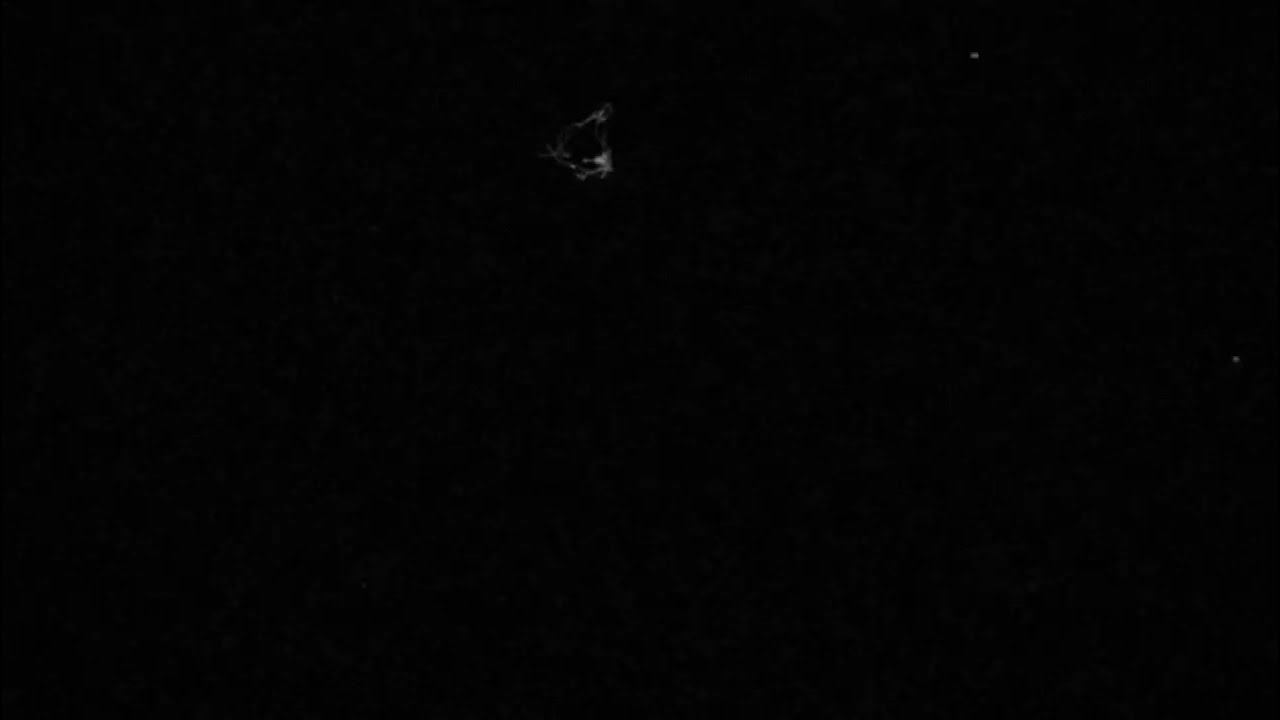 Cuphead static screen - YouTube