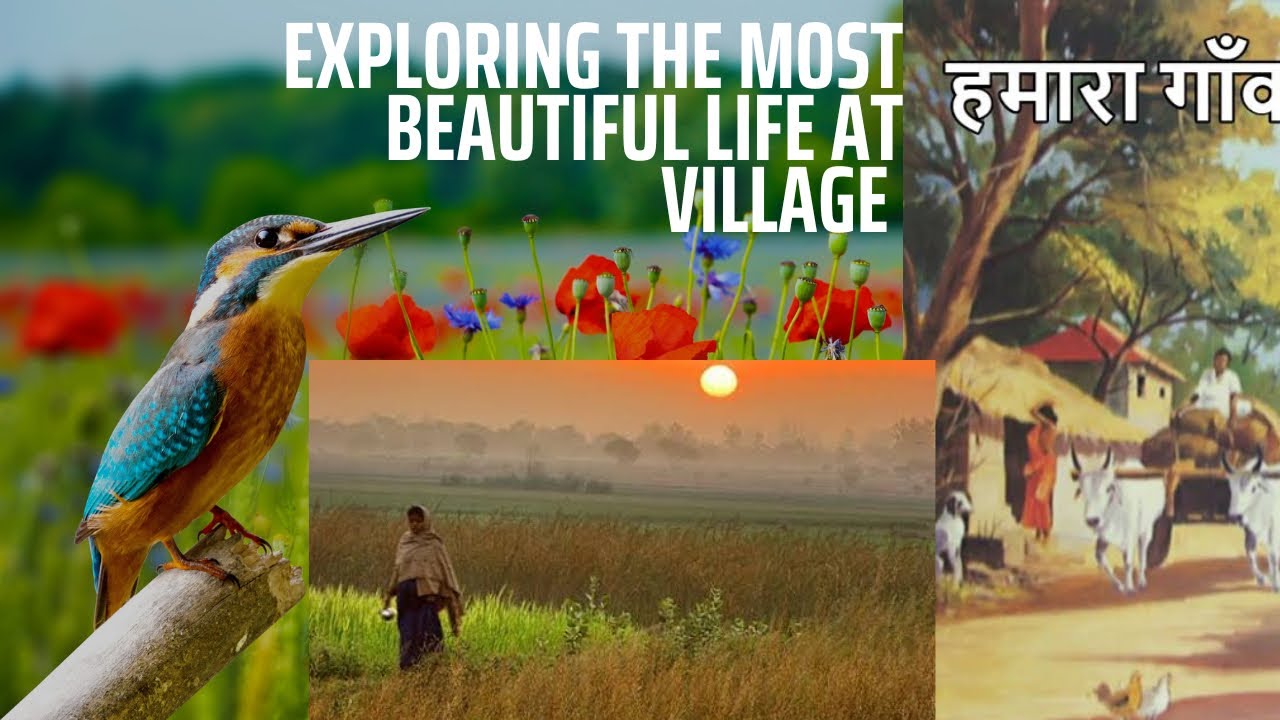 Exploring Village Life | Shegaon ~Akola -Telhara | Family Time 🕰️ ...